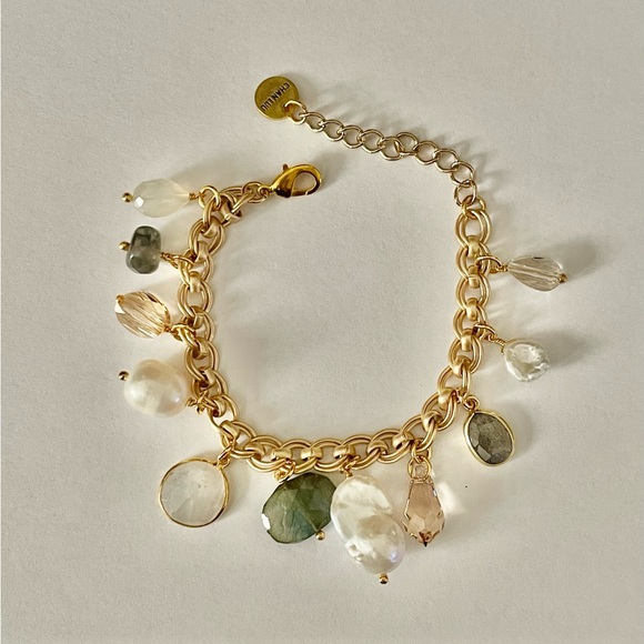 Chan Luu | Jewelry | Nwt Chan Luu Pearl Gemstone Gold Chain Charm ...